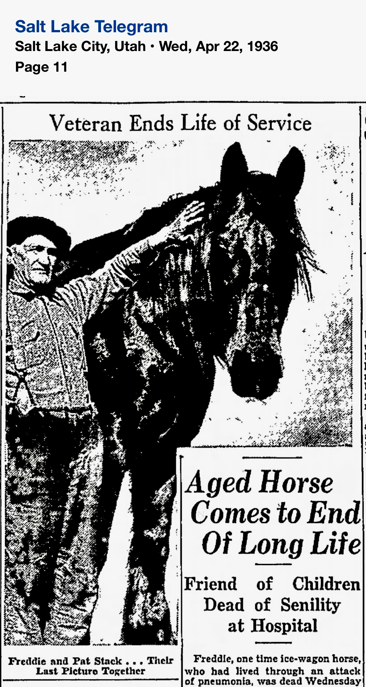 The Hibernian, the Horse, and the old Holy Cross Hospital – The Boy Monk
